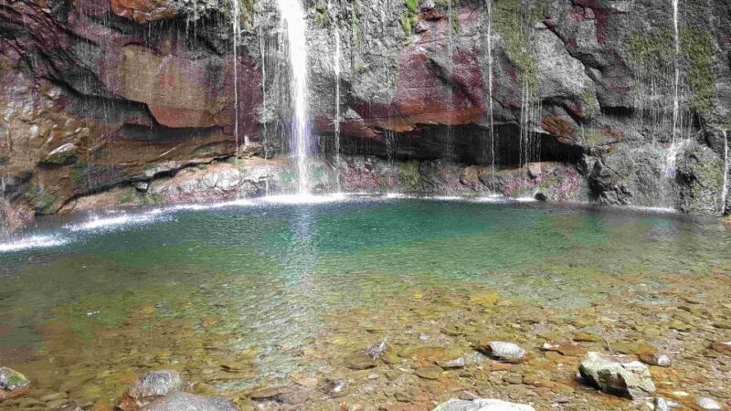 Madeira: Private Walking Tour of Levada das 25 Fontes PR6 - The Value and Cost Analysis