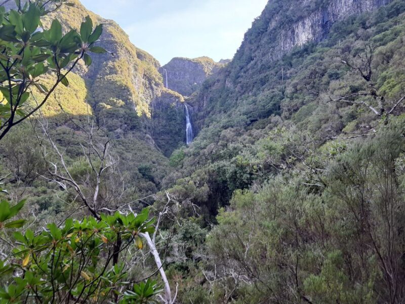 Madeira: Private Walking Tour of Levada das 25 Fontes PR6 - Who Should Consider This Tour?