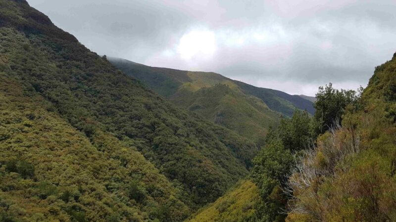 Madeira: Private Walking Tour of Levada das 25 Fontes PR6 - Authentic Reviews and Insights