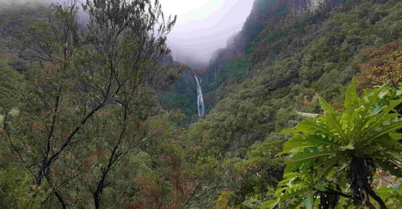 Madeira: Private Walking Tour of Levada das 25 Fontes PR6 - The Sum Up