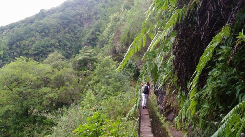 Madeira: Queimadas, Caldeirão Verde and Levada Walk - The Sum Up