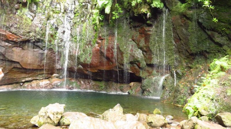 Madeira: Rabaçal, Risco and 25 Fontes Guided Hiking Tour - An Authentic Day in Madeira’s Nature