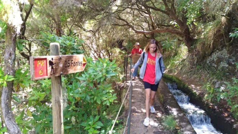 Madeira: Rabaçal, Risco and 25 Fontes Guided Hiking Tour - Logistics and Practicalities
