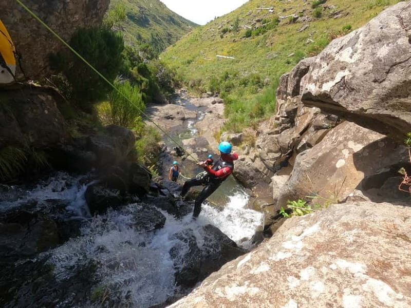 Madeira : Ribeira das Cales Canyoning (Level 1) - Who Is This Tour Best For?