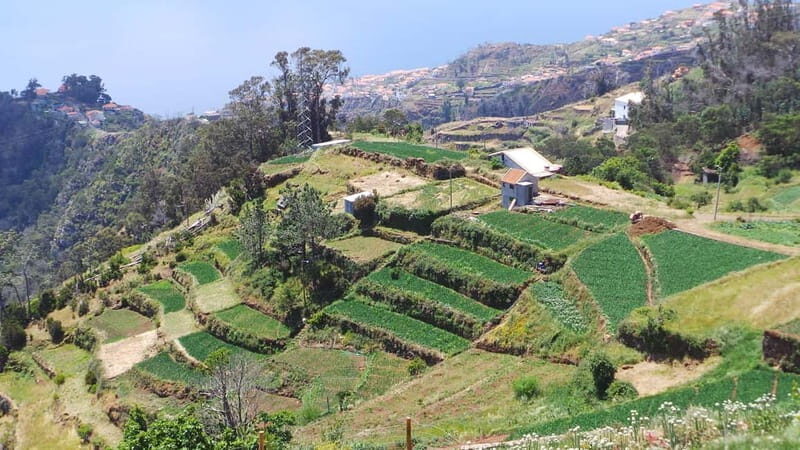 Madeira: Santana Jeep Safari and Referta Levada Walk - Deep Dive into Each Stop