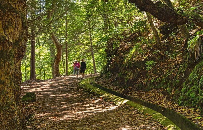 Madeira: Santana Jeep Safari and Referta Levada Walk - Who Is This Tour Best For?