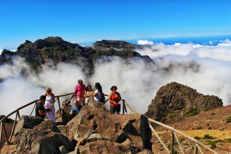 Madeira : Santana & Peaks full day tour by Open 4x4 - Final Thoughts