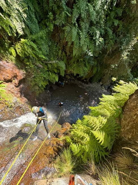 Madeira Short Canyoning For Beginners Rochão Level 1 - Why This Tour Stands Out