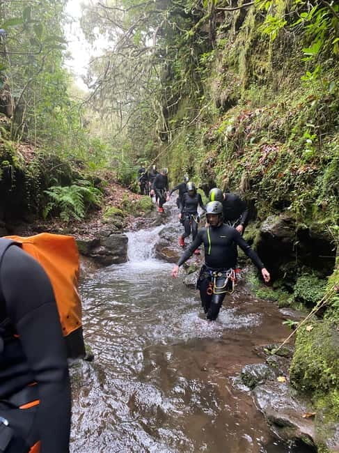 Madeira Short Canyoning For Beginners Rochão Level 1 - Who Should Consider This Tour?