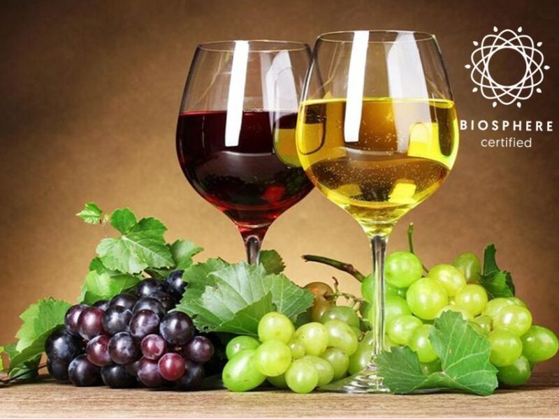 Madeira: Signature Wine Tasting, Skywalk & Nature Expedition - Final Thoughts