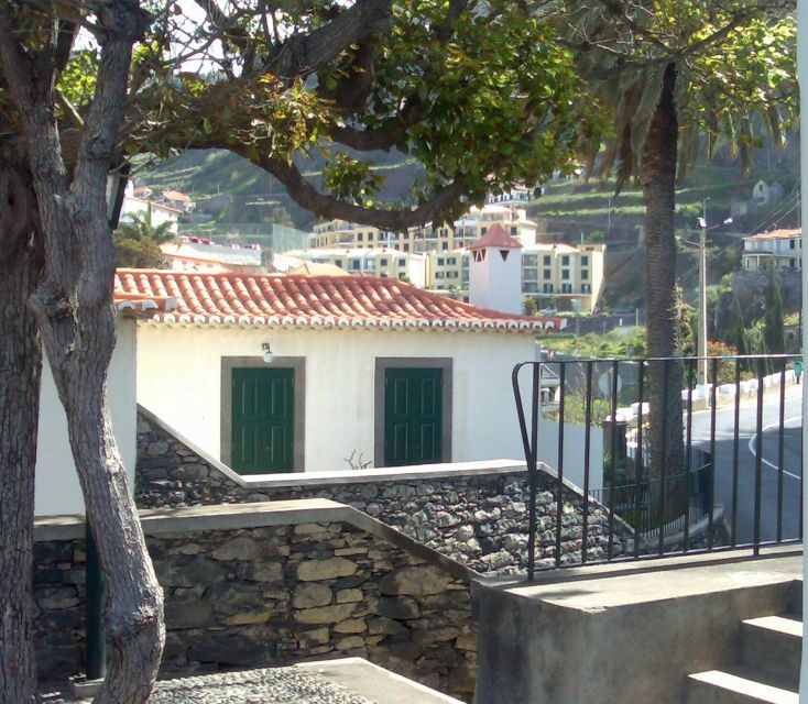 Madeira South West: Half Day Private Tour - Key Points