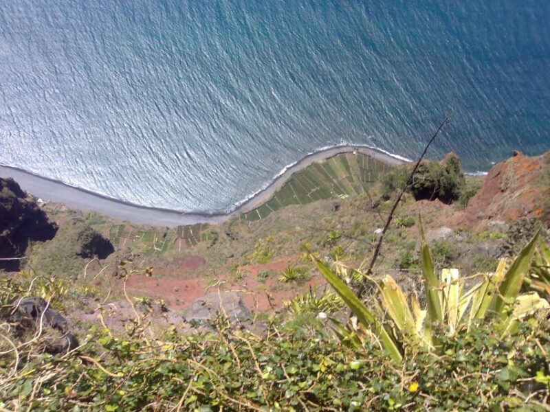 Madeira South West: Half Day Private Tour - A Detailed Look at the Madeira South West Private Tour