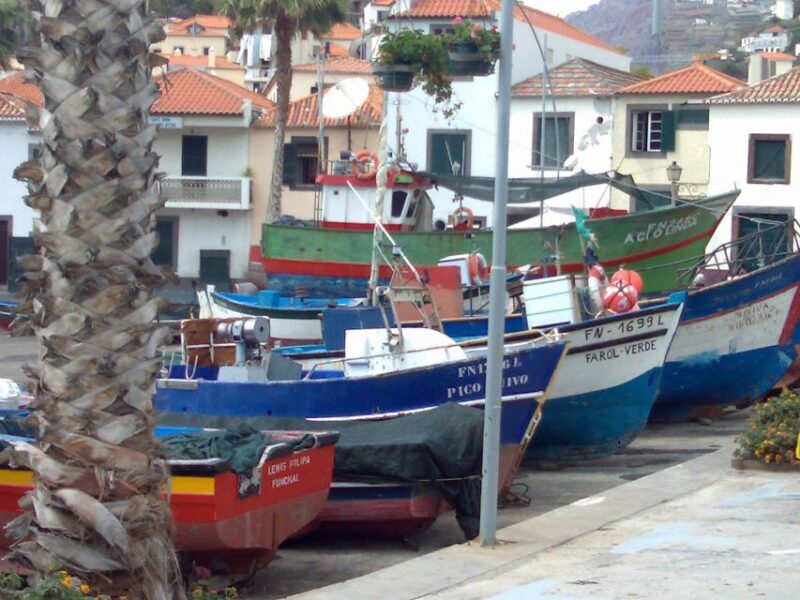 Madeira South West: Half Day Private Tour - Who Should Consider This Tour?