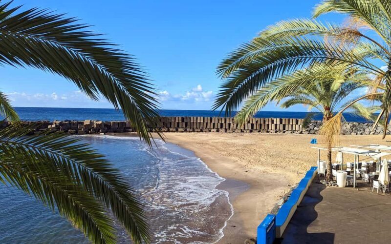 Madeira Southwest Express: Half-day Private Jeep tour - What the Reviews Say: Authentic Experiences and Knowledgeable Guides