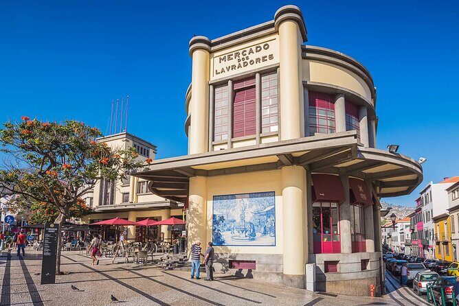 Madeira Special City Tuk Tuk Tour and Viewpoints by MadTuk - Who Is This Tour Best For?