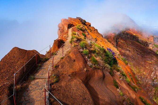 Madeira Stairway to Heaven to Larano Hike Mountain to Sea - Who Is This Tour Best For?  