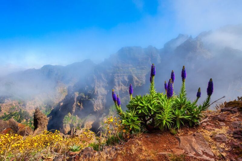 Madeira Stairway to Heaven to Larano Hike Mountain to Sea - Exploring the Madeira Mountain to Sea Hike in Detail  