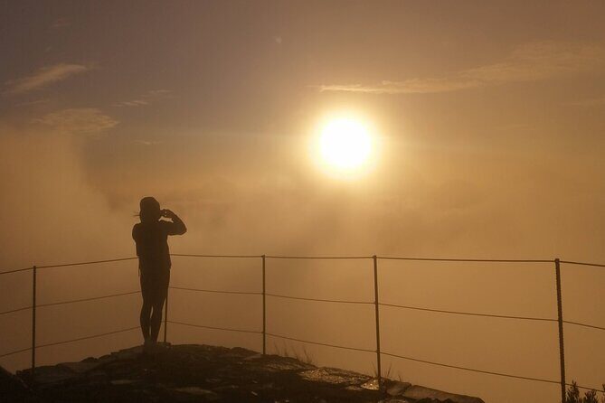 Madeira sunrise (Ponta de Sao Lourenco) Private tour - Is It Worth the Price?