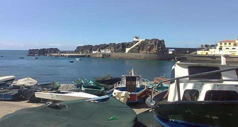 Madeira: Vineyard Tour w/ Wine Tasting & Skywalk - Who Should Consider This Tour?