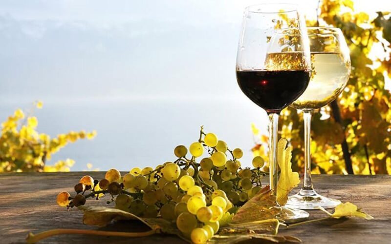 Madeira: Vineyard Tour w/ Wine Tasting & Skywalk - Final Thoughts: Is It Worth It?
