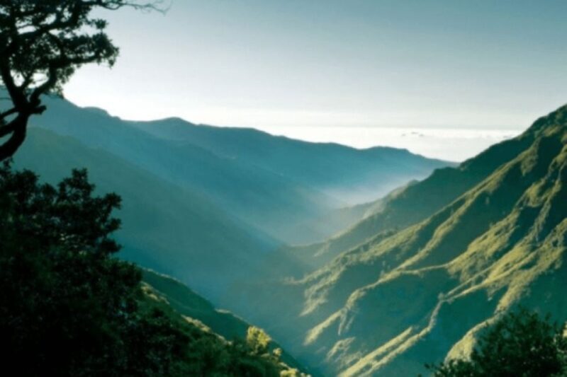 Madeira : Walking Tour-Rabaçal /25 Fontes - Final Thoughts