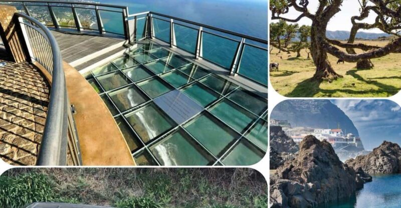 Madeira: West Tour With Guide Fanal Forest SykWalkExperience - An In-Depth Look at Madeira’s West Tour