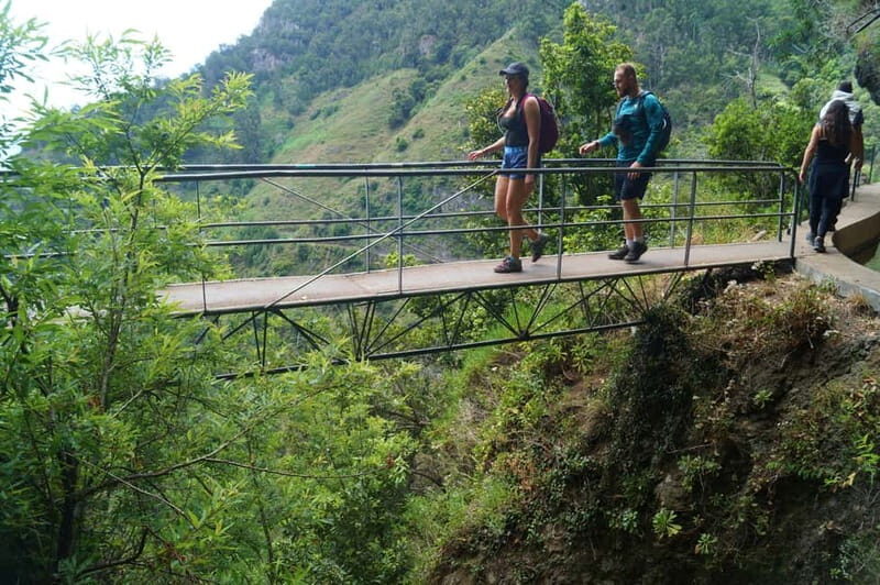 Madeira: Wet your hair in the amazing Levada Nova / Moinhos - Transportation & Duration
