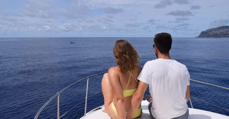 Madeira: Whale and Dolphin Watching Private Cruise - What’s Included & What’s Not