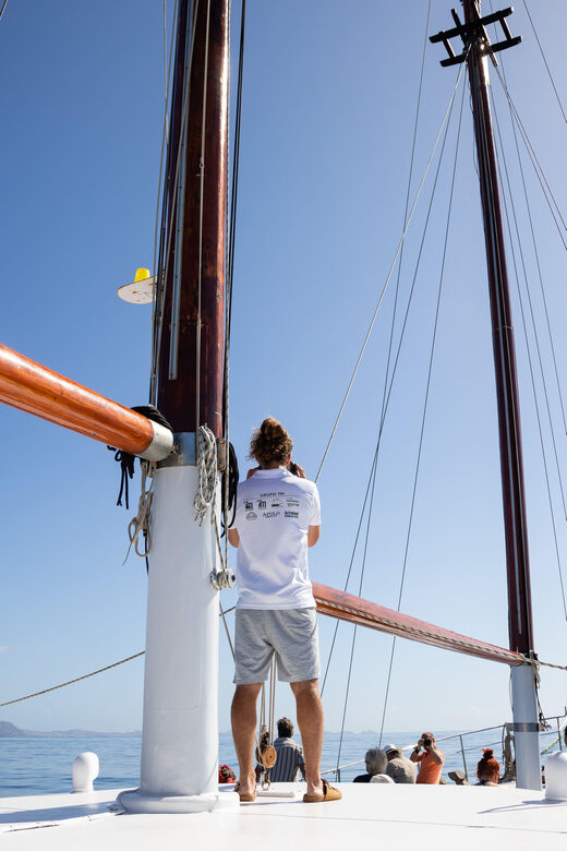 Madeira : Whales and Dolphins wooden boat excursion - Key Points