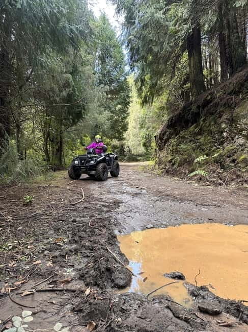 Madeira:Private Mountain Quad AdventureExplore Wild Madeira - Key Points
