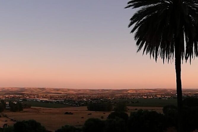 Madinat Al-Zahra Private tour with an expert - Insights from Past Participants