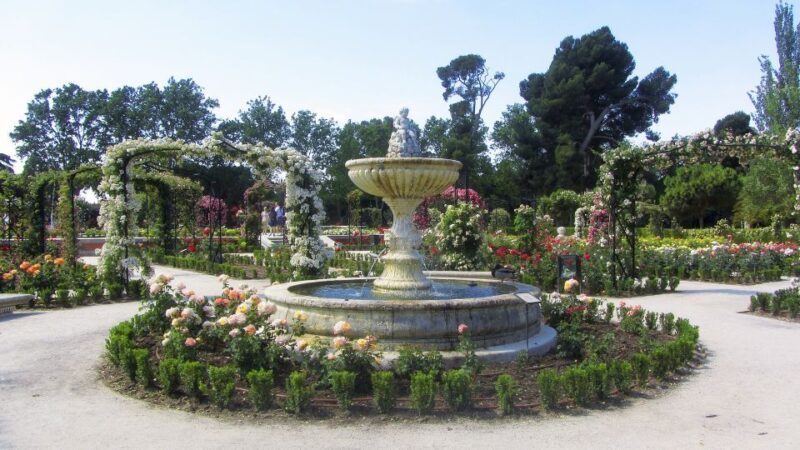 Madrid: 1.5-Hour Retiro Park Guided Walking Tour - Key Points