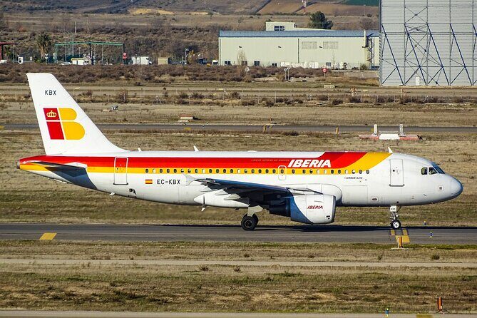 Madrid Airport Private Arrival Transfer - Who Should Consider This Service?