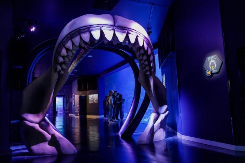 Madrid: Atlantis Aquarium Entry Ticket - Key Points