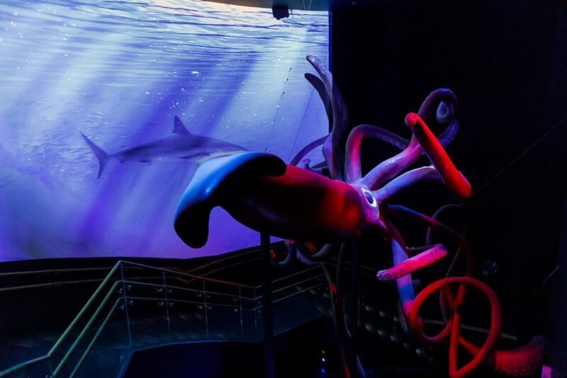 Madrid: Atlantis Aquarium Entry Ticket - The Sum Up