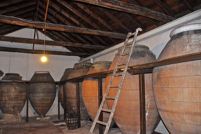 Madrid Countryside Wineries Guided Tour with Wine Tasting - The Bottom Line