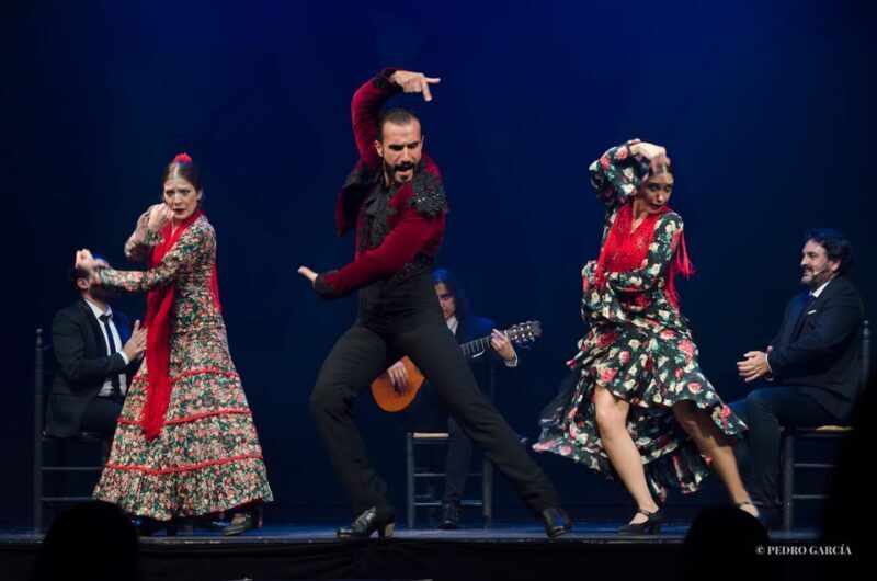 Madrid: "Emociones" Live Flamenco Performance - Key Points