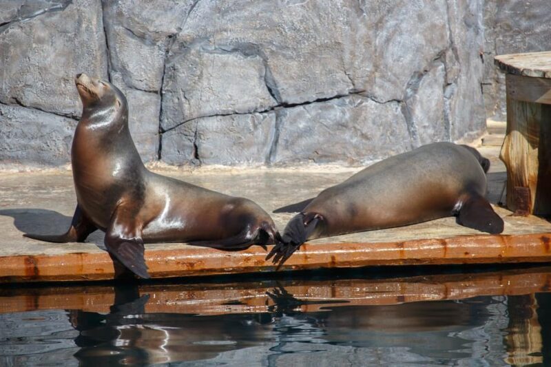 Madrid: Faunia Entry Ticket - Key Points