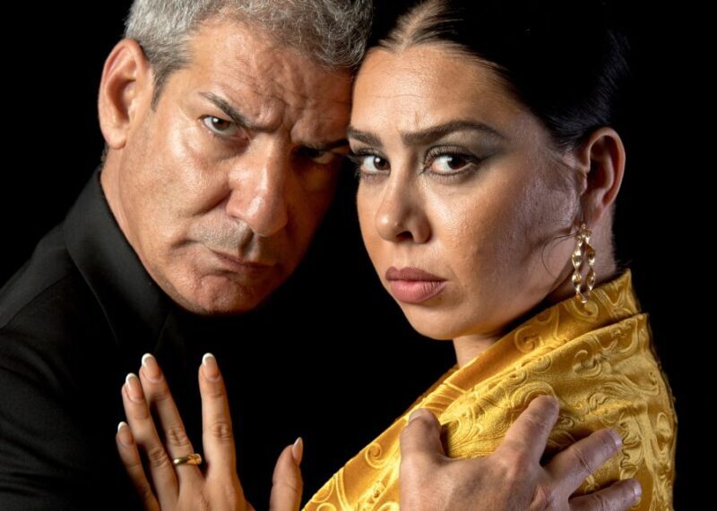 Madrid: Flamenco Show Entry Ticket with Drink & Artist Talk - Who Should Book This Flamenco Show?