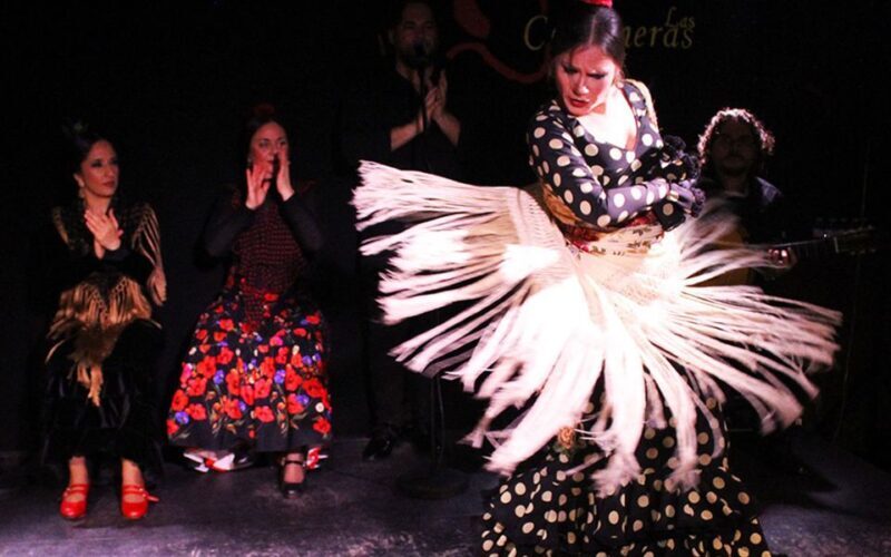Madrid: Flamenco Show with Tapas and Wine Tour - An In-Depth Look at the Madrid Flamenco and Tapas Tour