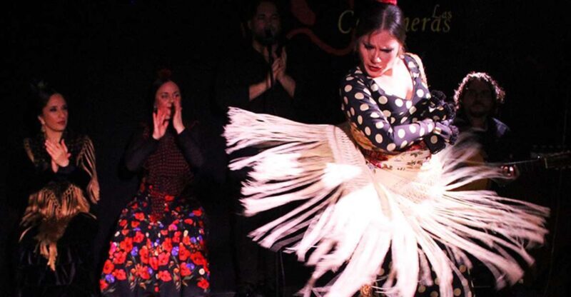 Madrid: Flamenco Show with Tapas and Wine Tour - Final Thoughts