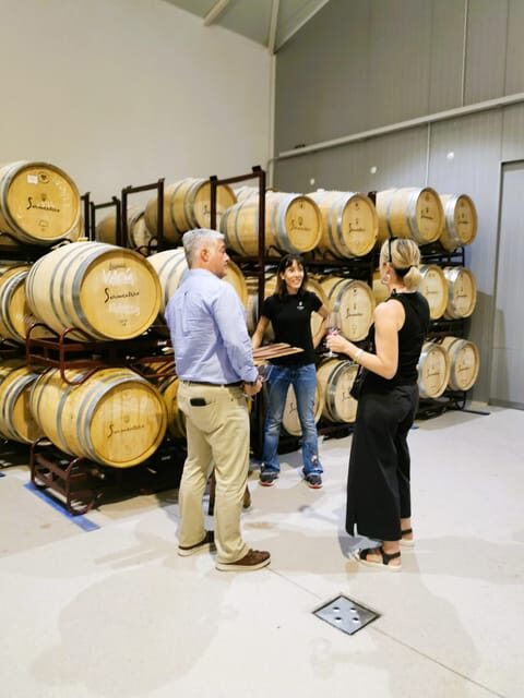 Madrid: half day wine region tour - Key Points