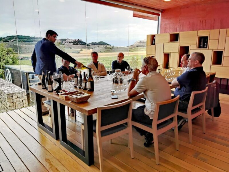 Madrid: half day wine region tour - What Makes This Tour Stand Out?