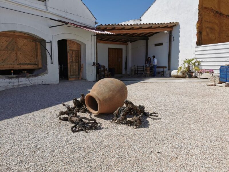 Madrid: half day wine region tour - Who Should Consider This Tour?