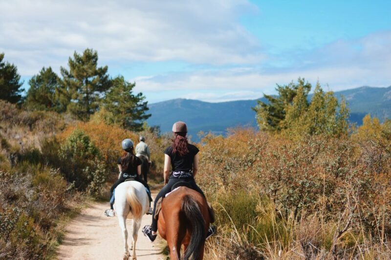 Madrid: Horse Riding in Sierra del Guadarrama National Park - Authentic Experiences & Reviews: What Others Loved
