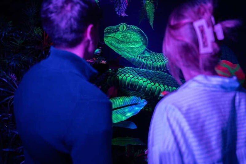 Madrid: IKONO Entry Ticket - FAQ