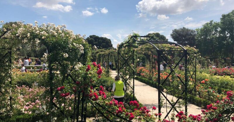 Madrid: Prado Avenue and Retiro Park Guided Walking Tour - Key Points