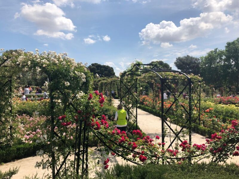 Madrid: Prado Avenue and Retiro Park Guided Walking Tour - Insights from Reviews