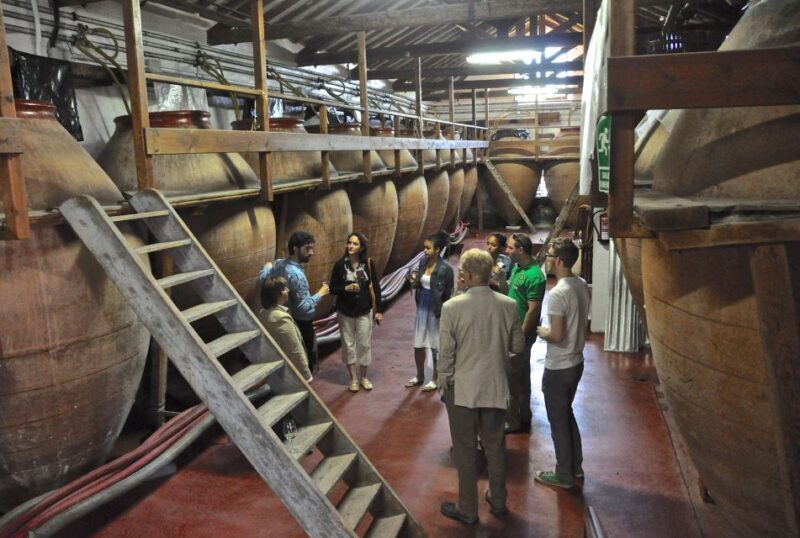 Madrid Region Wineries Guided Tour with Wine Tastings - The Guides: Knowledgeable, Fun, and Passionate