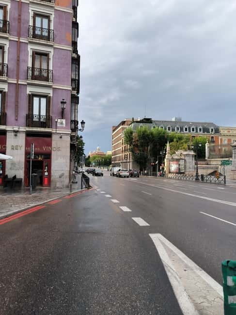 Madrid: Royal Palace Private Tour with Tickets - Meeting Point and Accessibility